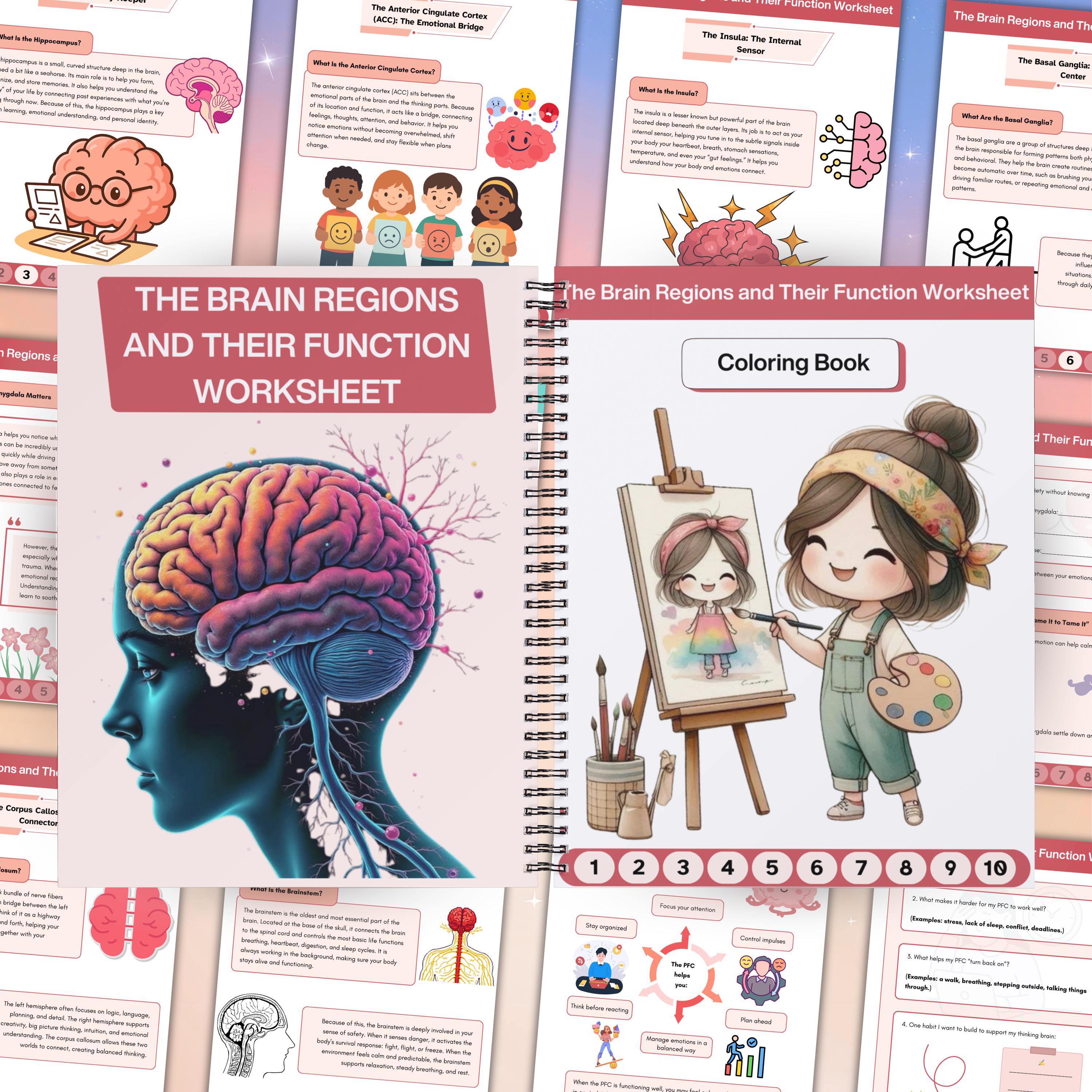 The Brain Regions and Their Function Neuroscience Worksheet: 108+ Pages ...