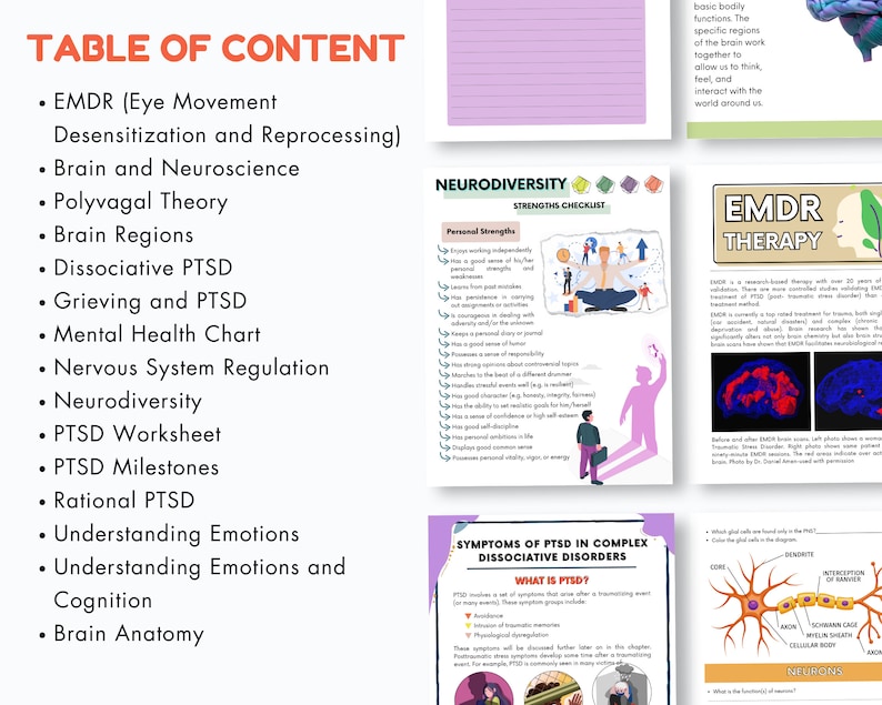 The Brain Regions and Neuroscience Psychoeducation Bundle, Brain and ...