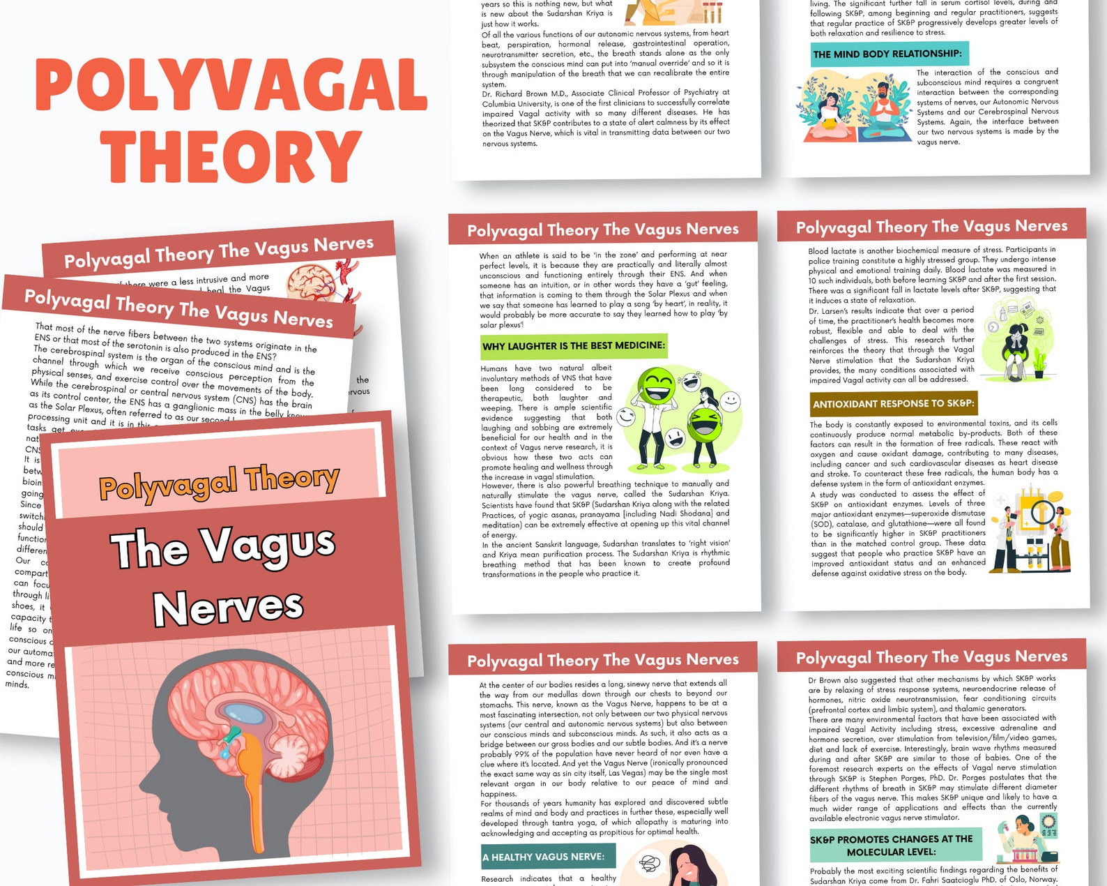 The Polyvagal Theory, Vagus Nerve Stimulation, Psychology, Therapy ...