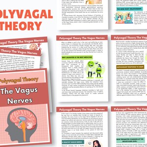The Polyvagal Theory, Vagus Nerve Stimulation, Psychology, Therapy ...