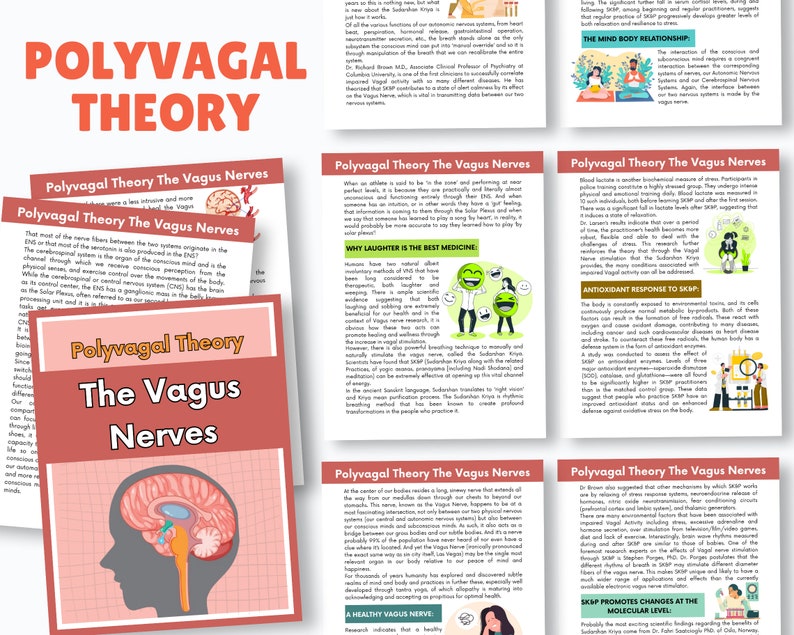 The Polyvagal Theory, Vagus Nerve Stimulation, Psychology, Therapy ...