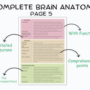 Brain and Neuroscience Therapy and Education Bundle, Psychoeducation ...