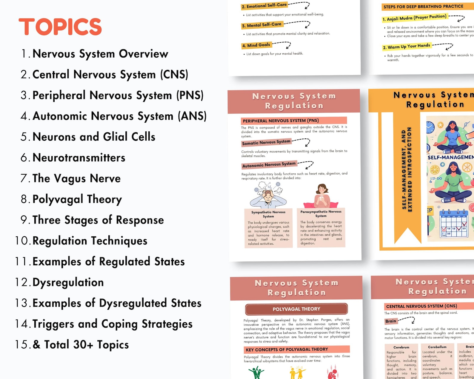 Nervous System Regulation Workbook, Somatic Exercise Polyvagal Theory ...