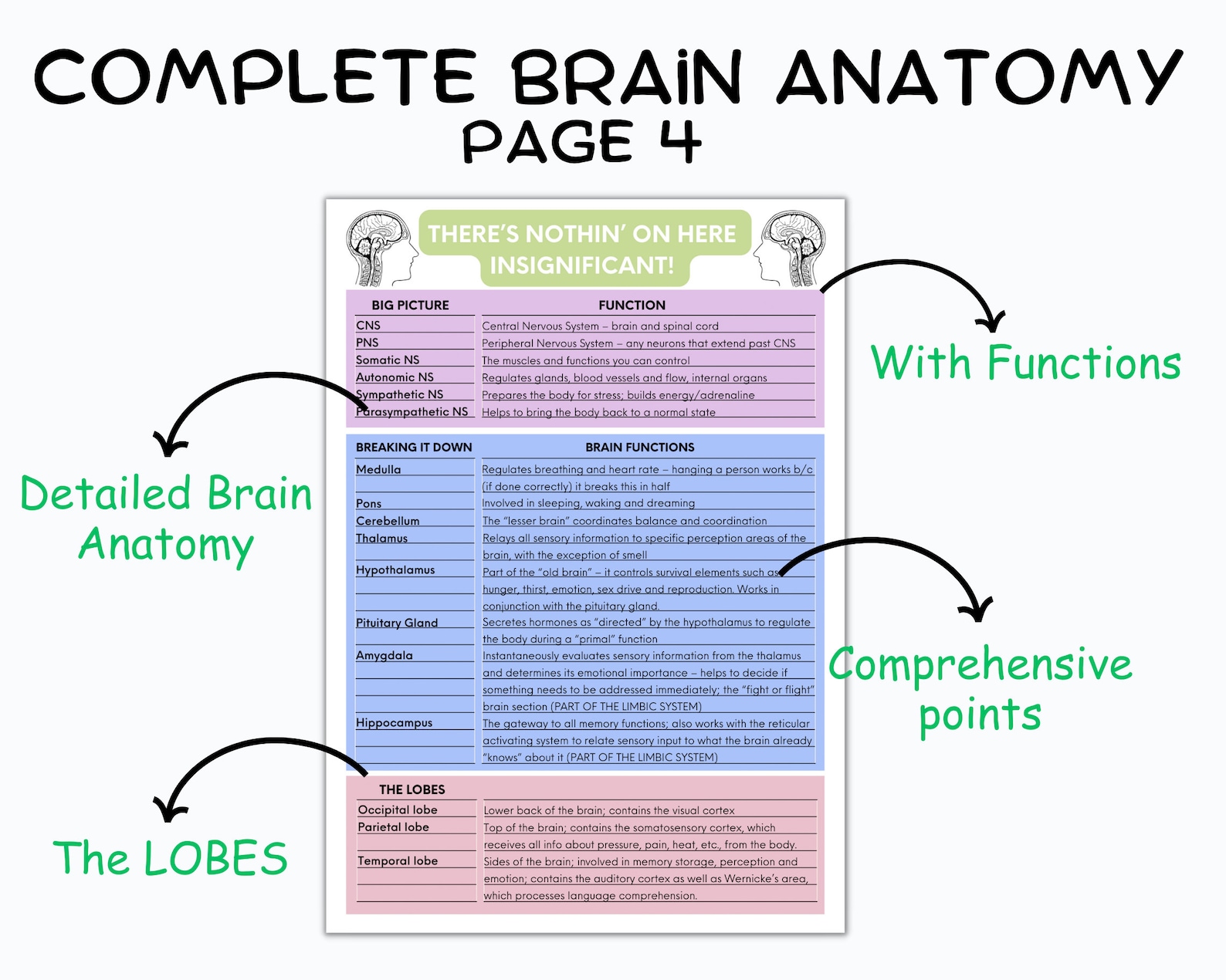 Brain and Neuroscience Therapy and Education Bundle, Psychoeducation ...