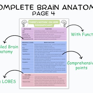 Brain and Neuroscience Therapy and Education Bundle, Psychoeducation ...