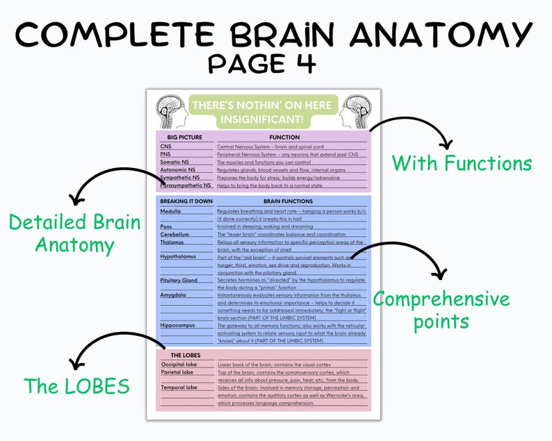 Brain and Neuroscience Therapy and Education Bundle, Psychoeducation ...