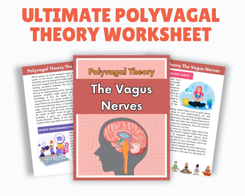 The Polyvagal Theory, Vagus Nerve Stimulation, Psychology, Therapy ...