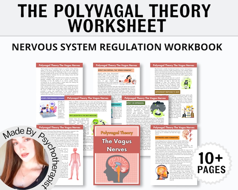 The Polyvagal Theory, Vagus Nerve Stimulation, Psychology, Therapy ...