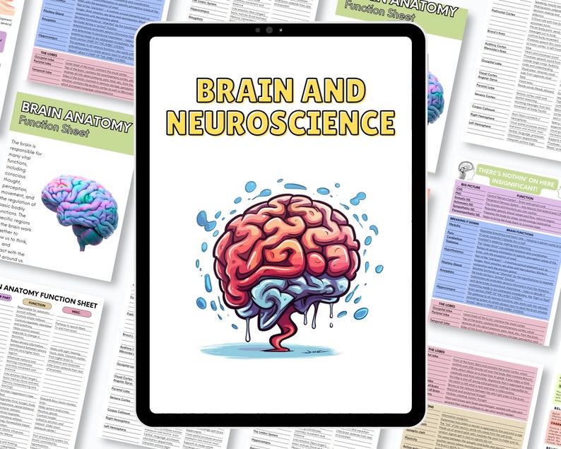 Brain and Neuroscience Therapy and Education Bundle, Psychoeducation Resource for Therapists ...