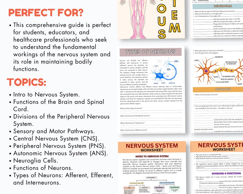 Nervous System Regulation Worksheet Bundle | Polyvagal Theory ...