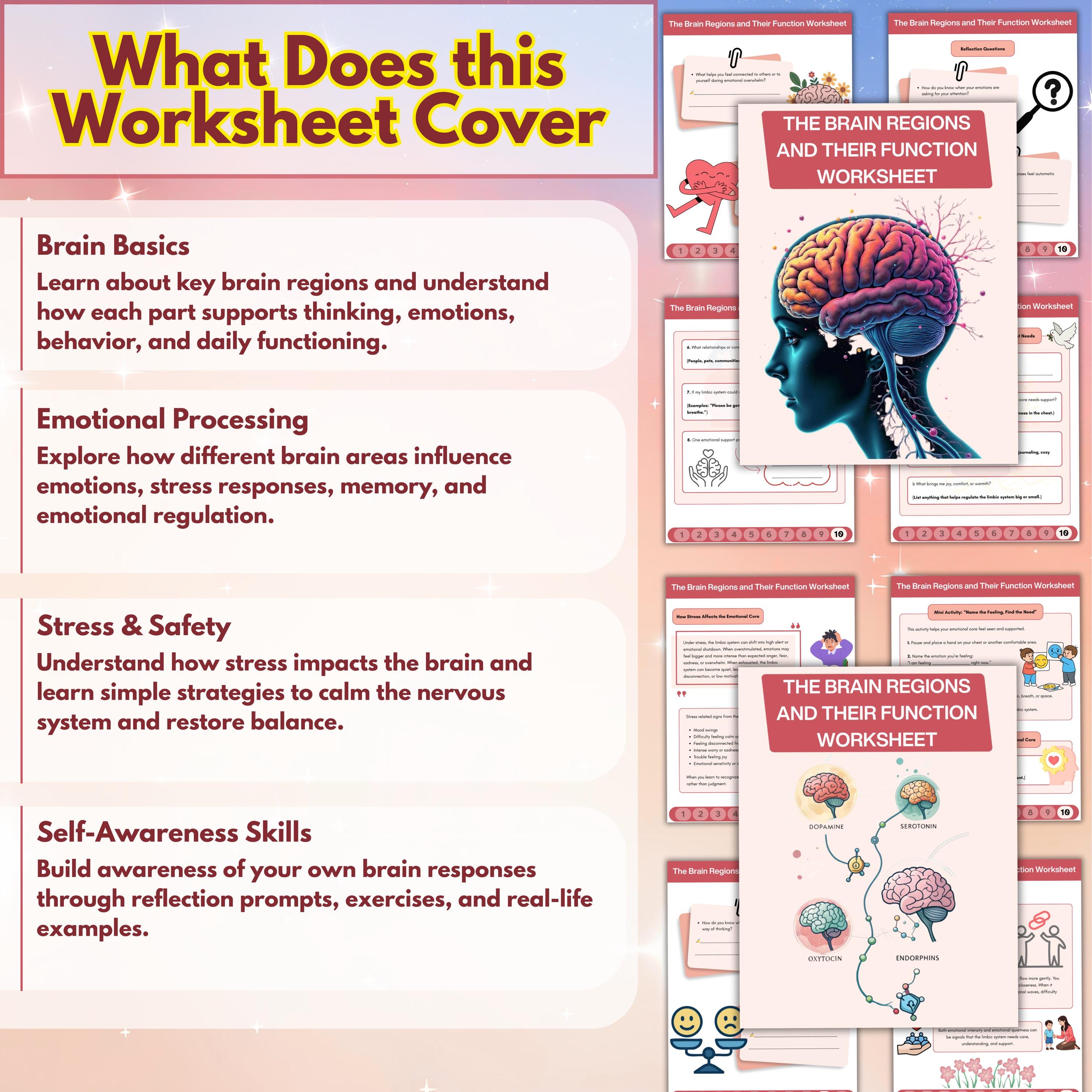 The Brain Regions and Their Function Neuroscience Worksheet: 108+ Pages ...
