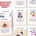 Nervous System Regulation Flashcards, Somatic Exercise Polyvagal Theory ...