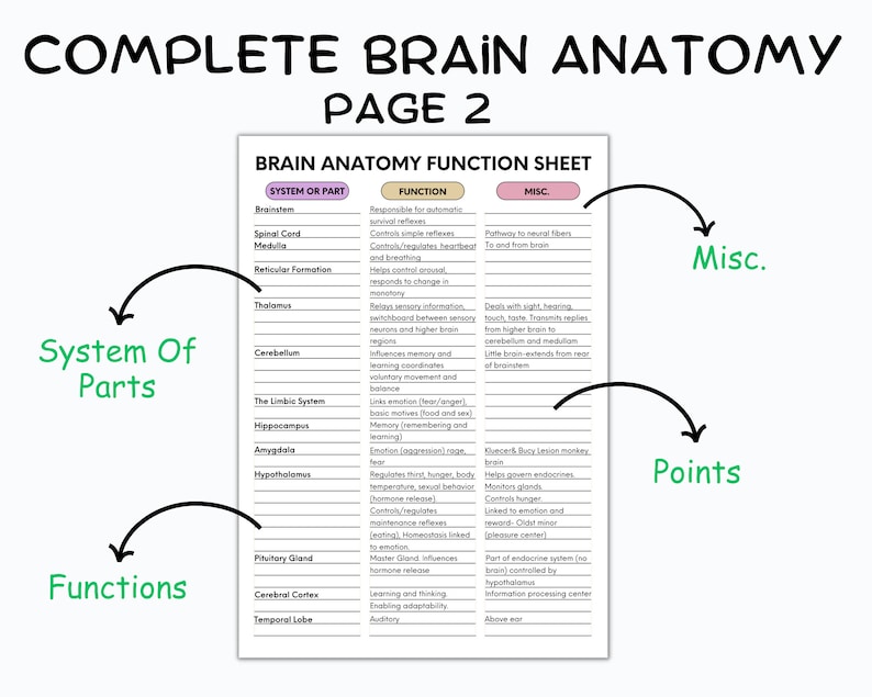 Brain and Neuroscience Therapy and Education Bundle, Psychoeducation ...