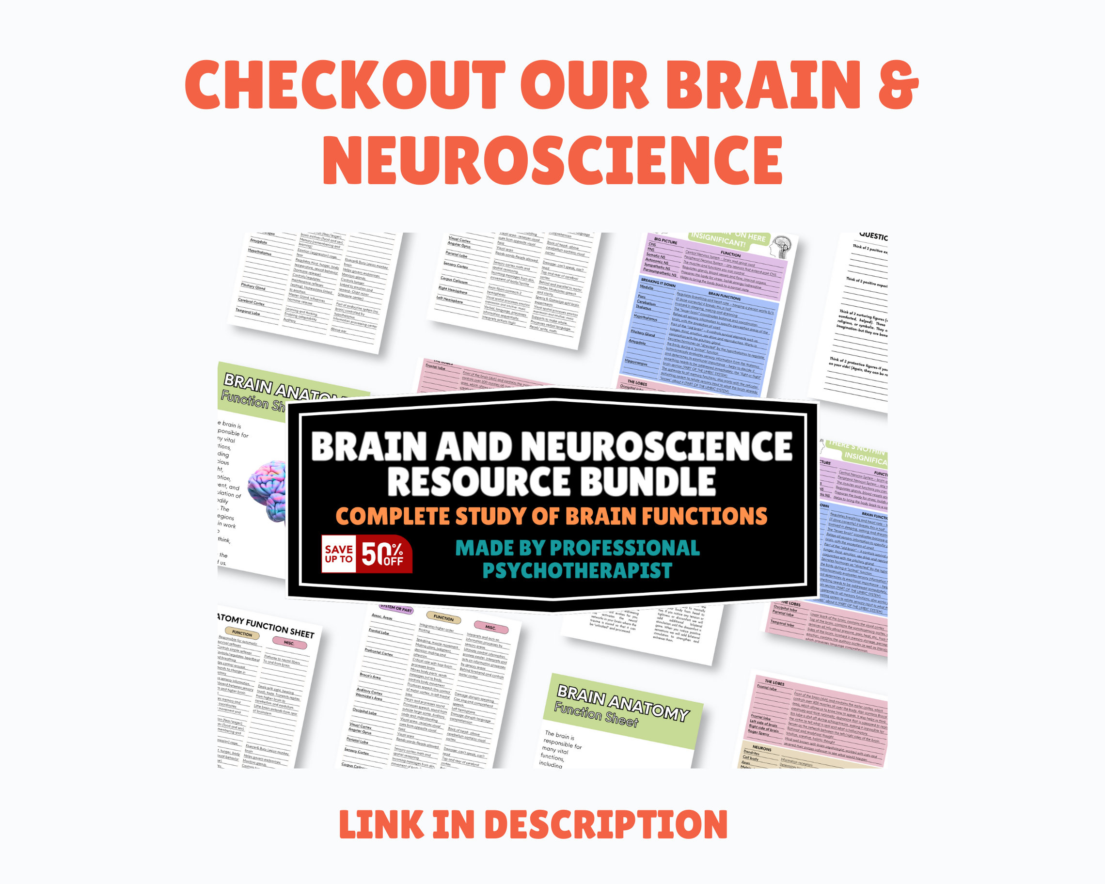 The Brain Regions and Their Function Neuroscience Psychoeducation Tool ...