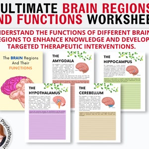 The Brain Regions and Their Function Neuroscience Psychoeducation Tool ...