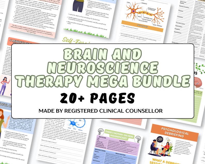 The Brain Regions and Neuroscience Psychoeducation Bundle, Brain and ...