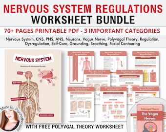 Nervous System Regulation Workbook, Somatic Exercise Polyvagal Theory Ladder Vagus Vagal Nerve ...