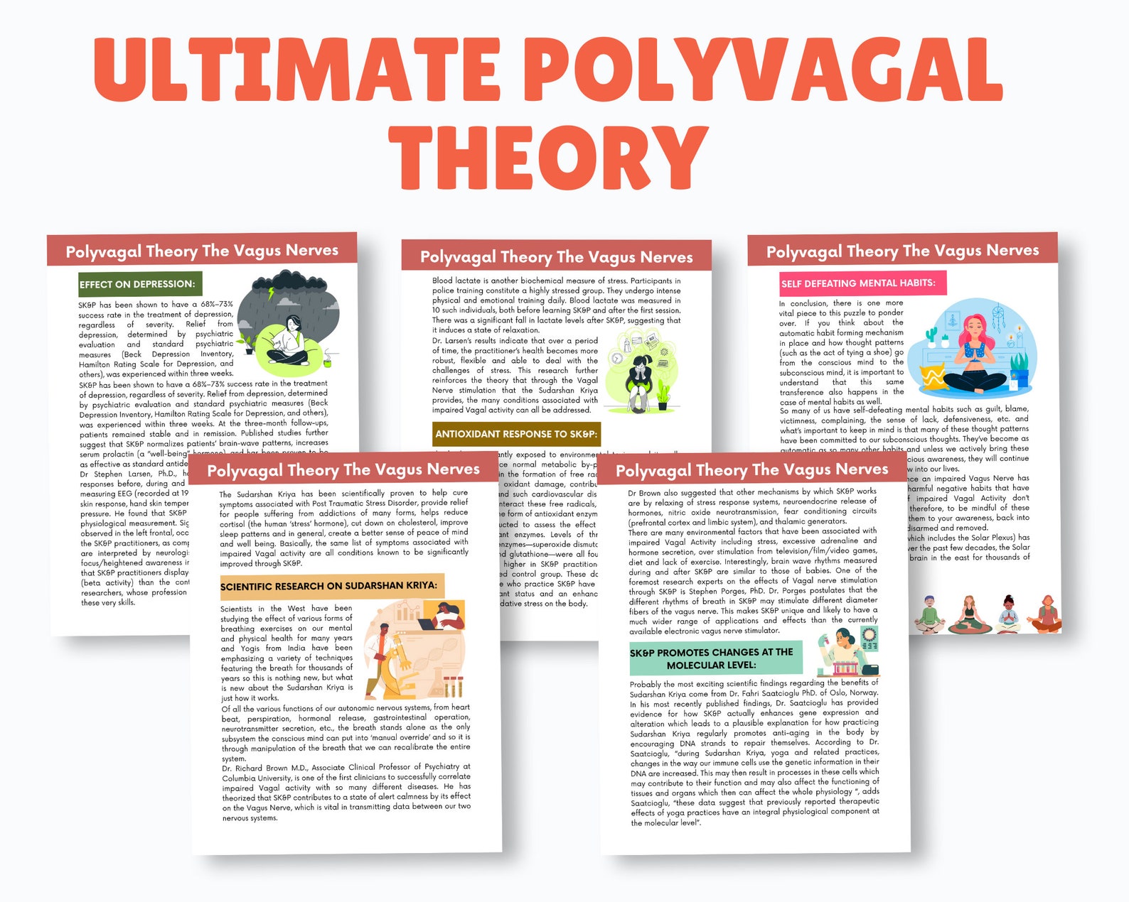 The Polyvagal Theory, Vagus Nerve Stimulation, Psychology, Therapy ...