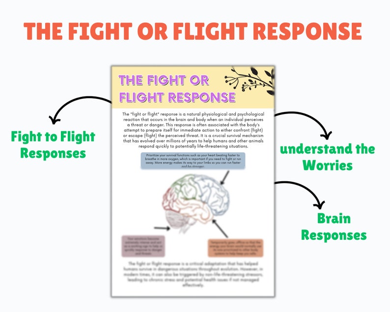 Signs of Fight Flight Freeze and Fawn Response Worksheets for the ...
