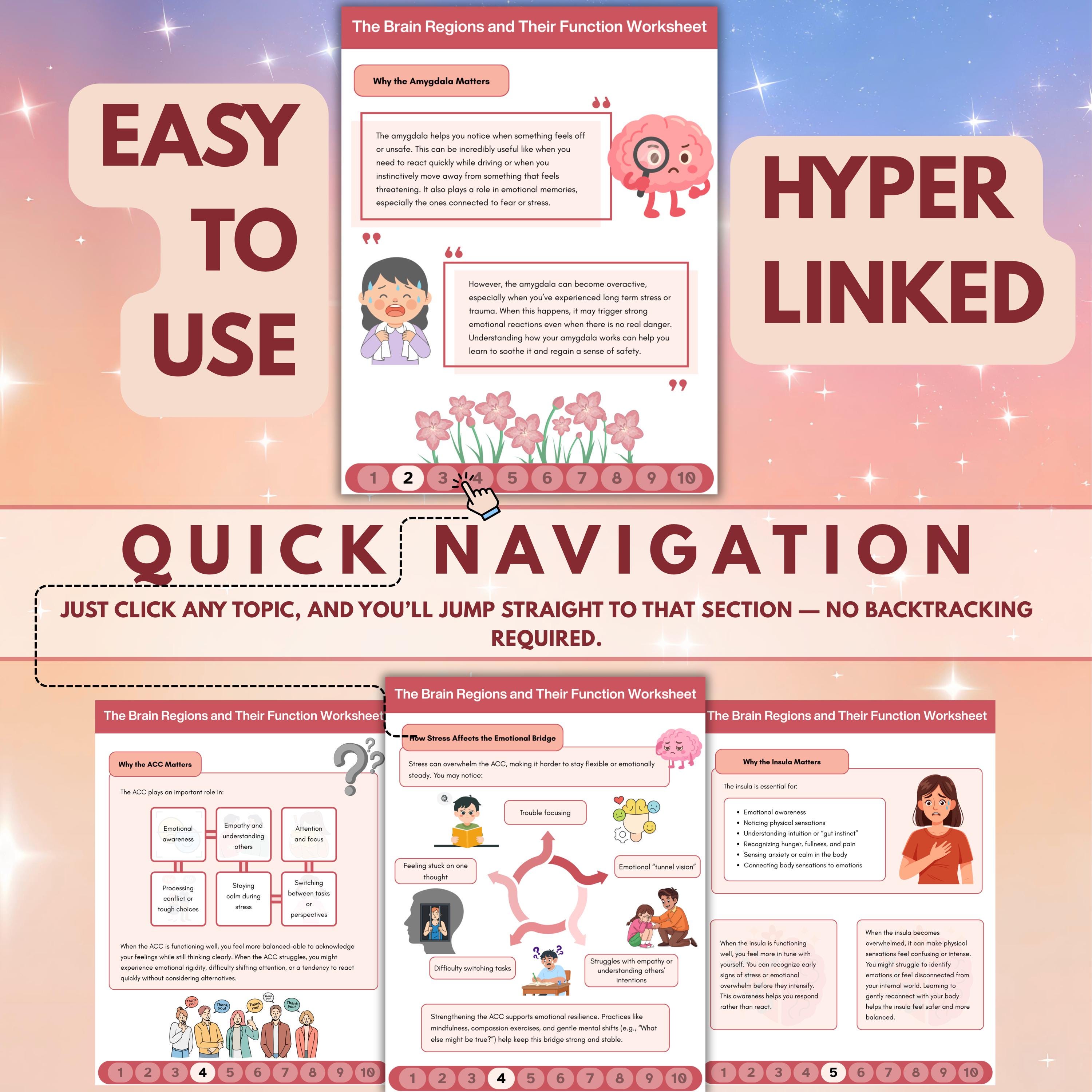 The Brain Regions and Their Function Neuroscience Worksheet: 108+ Pages ...