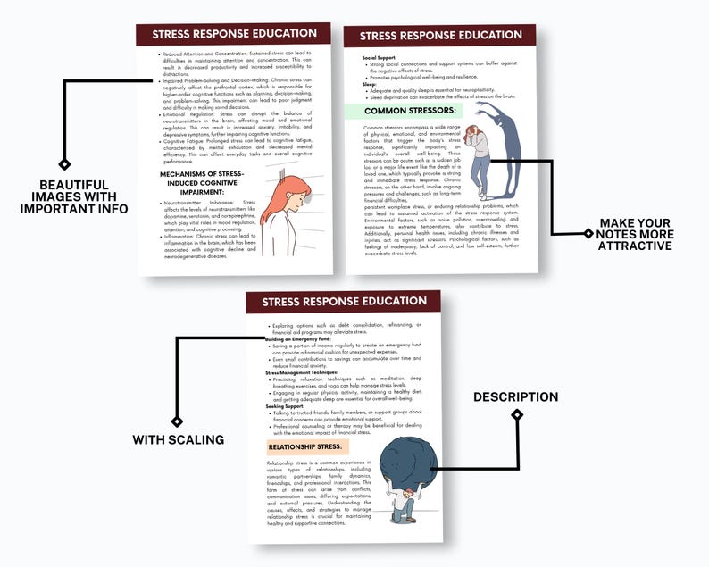The Stress Response Guide: Psychoeducation Tool for Trauma Therapy PTSD ...