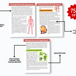 The Polyvagal Theory, Vagus Nerve Stimulation, Psychology, Therapy ...