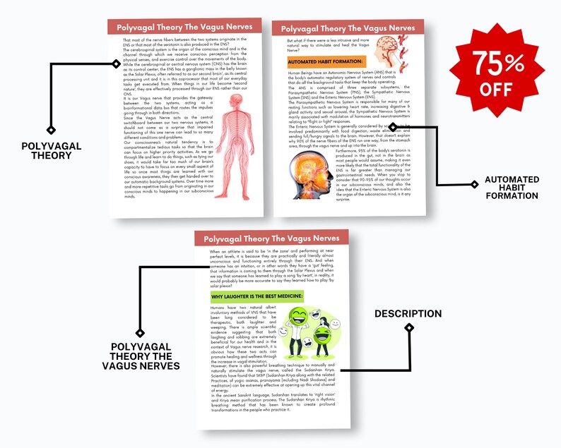 The Polyvagal Theory, Vagus Nerve Stimulation, Psychology, Therapy ...