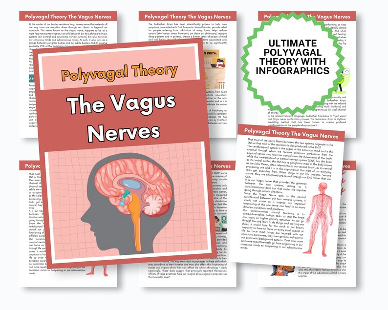 The Polyvagal Theory, Vagus Nerve Stimulation, Psychology, Therapy ...
