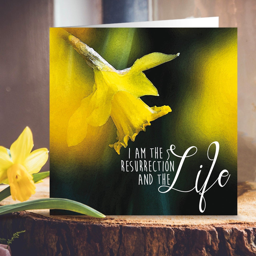 Pack of 5 Christian Easter Cards, Daffodil, With White Envelopes and ...