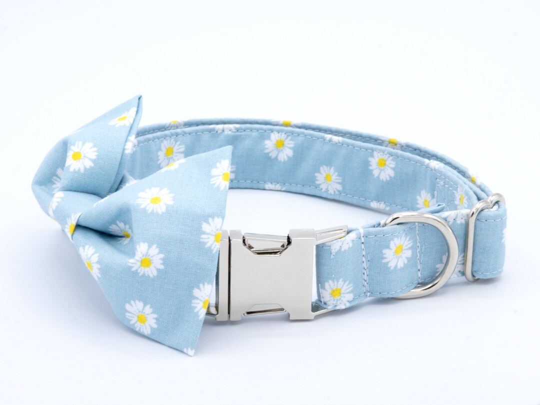 Aqua Dog Collar Daisy With Personalization, Dog Accessories Bowtie ...