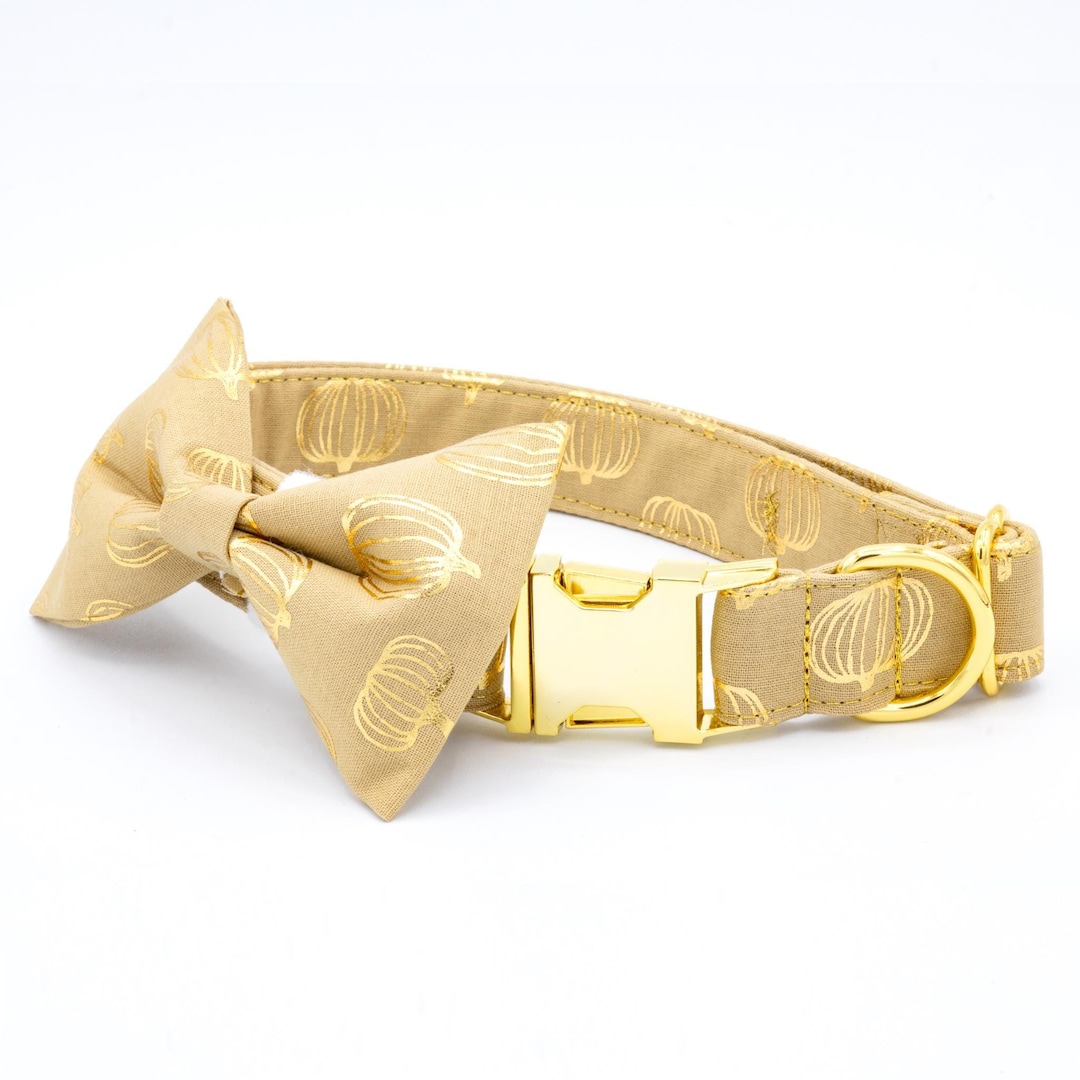 Fall Dog Collar With Bowtie, Pumpkin Spice Dog Collar, Designer Gold ...