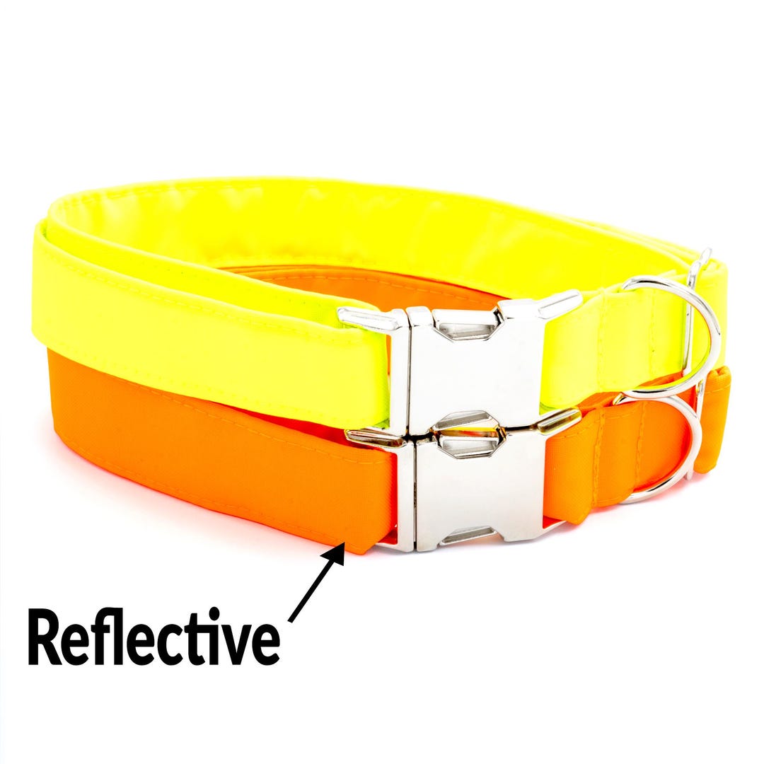Personalized Reflective Dog Collar, Embroidered Reflective Pet Collar ...
