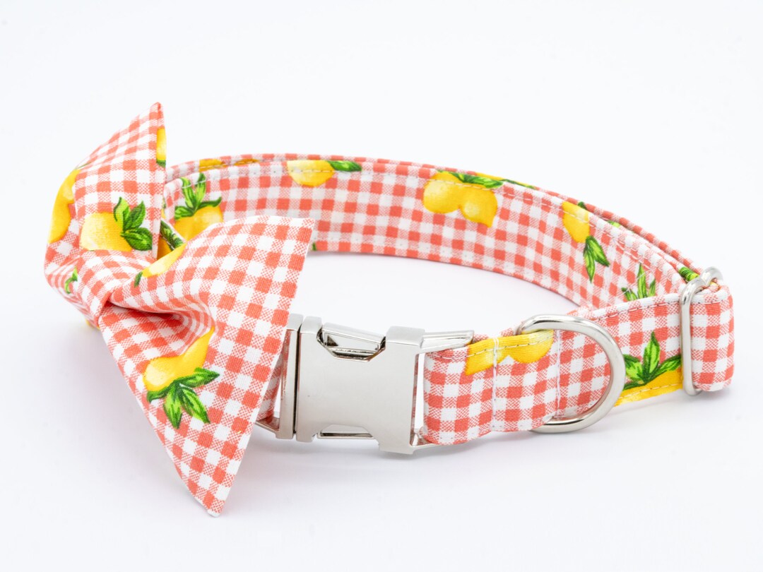 Summer Fruit Dog Collar Personalized, Cute Lemon Dog Collar, Girl Dog ...