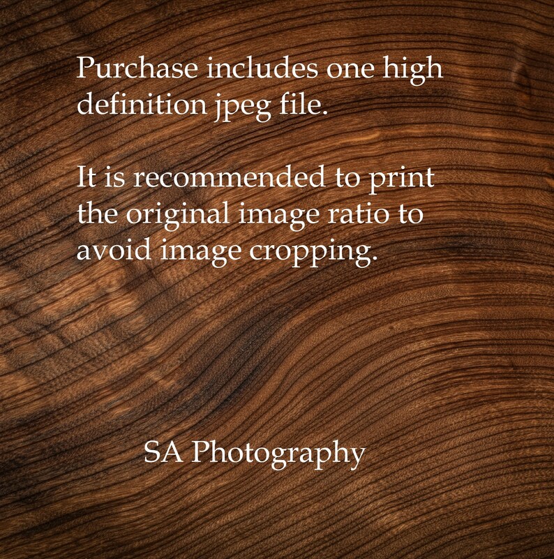 Knights Templar Ship - Etsy