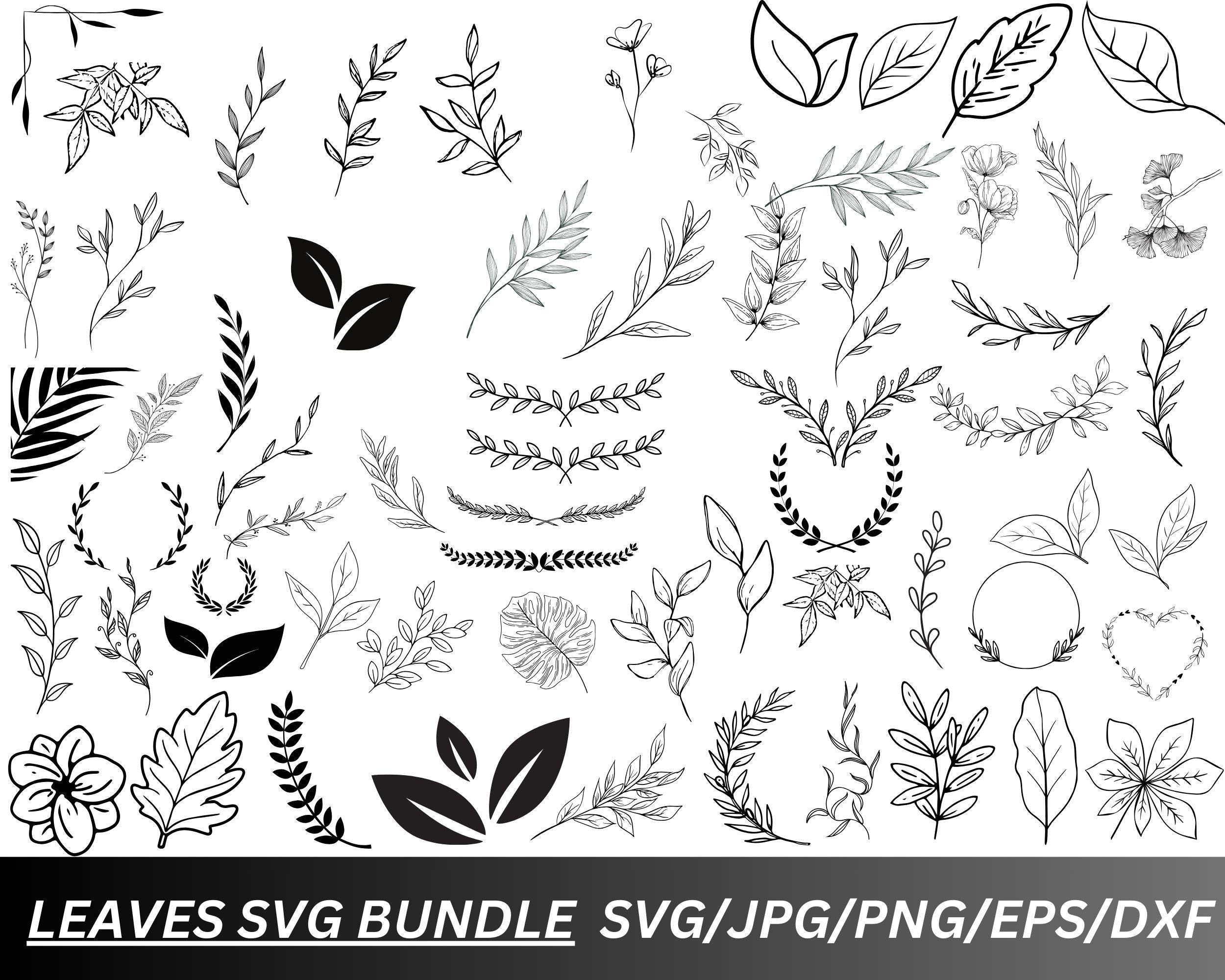 60 Leaves Svg Bundle,plant Svg, Cut Files, Leaf Png,paper Leaves, Hand ...