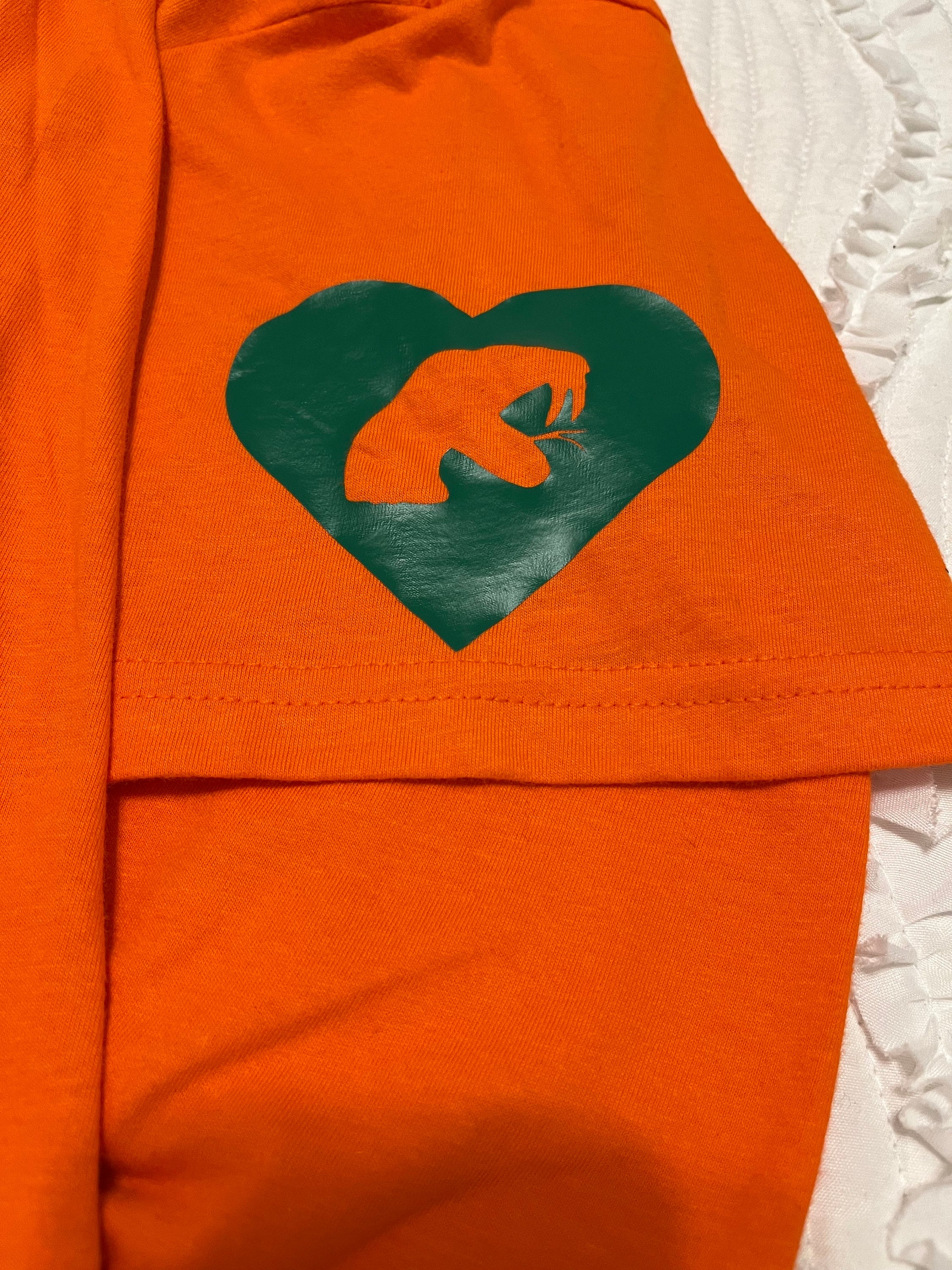 FAMU Rattler Tee | Florida A & M University | 3 Styles - Etsy