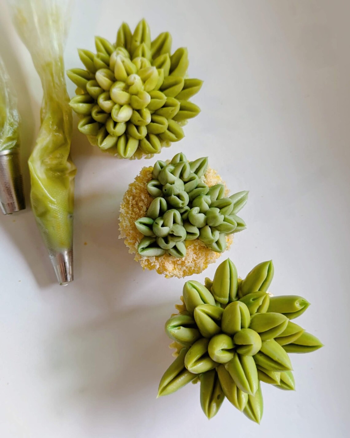 Succulent Tip PR 222s 222m 222 Cactus Piping Cake Decorating Nozzle ...