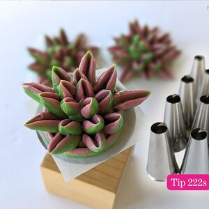 Succulent Tip PR 222s 222m 222 Piping Cake Decorating Nozzle Leaf Tip ...