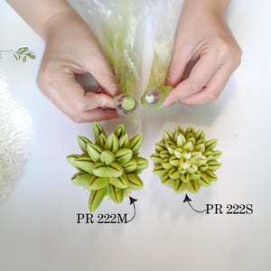 Succulent Tip PR 222s 222m 222 Piping Cake Decorating Nozzle Leaf Tip ...
