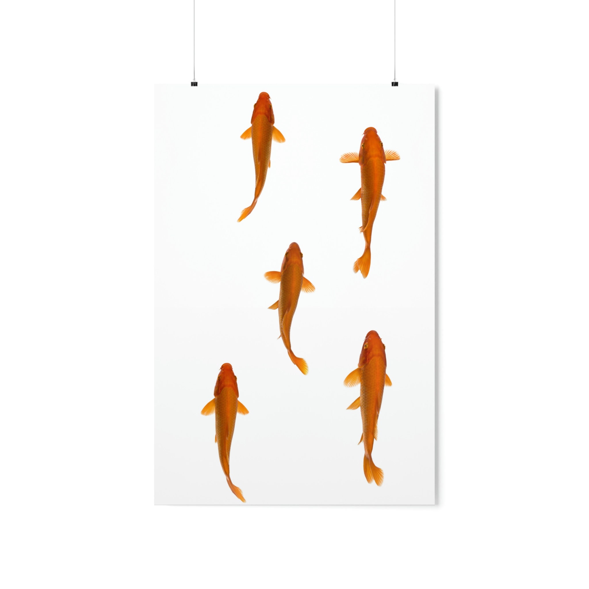 Koi From Above POV Swimming Fish Poster Gift - Etsy