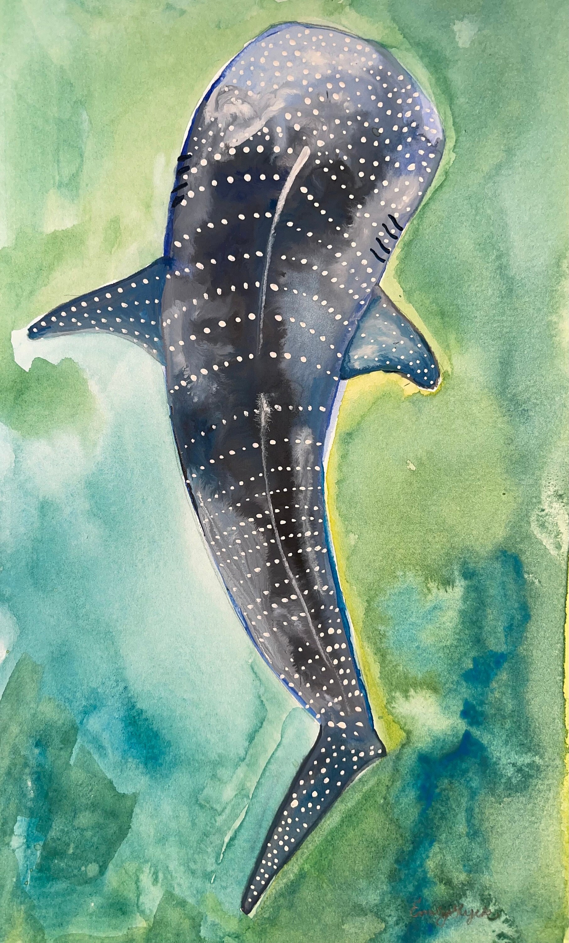 Whale Shark Watercolor Print - Etsy