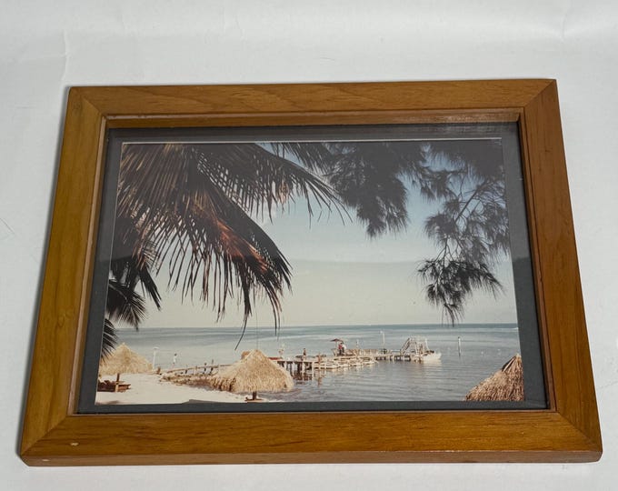 1970s Tropical Beach Framed Photo / Coastal Ocean and Palm Tree Decor ...