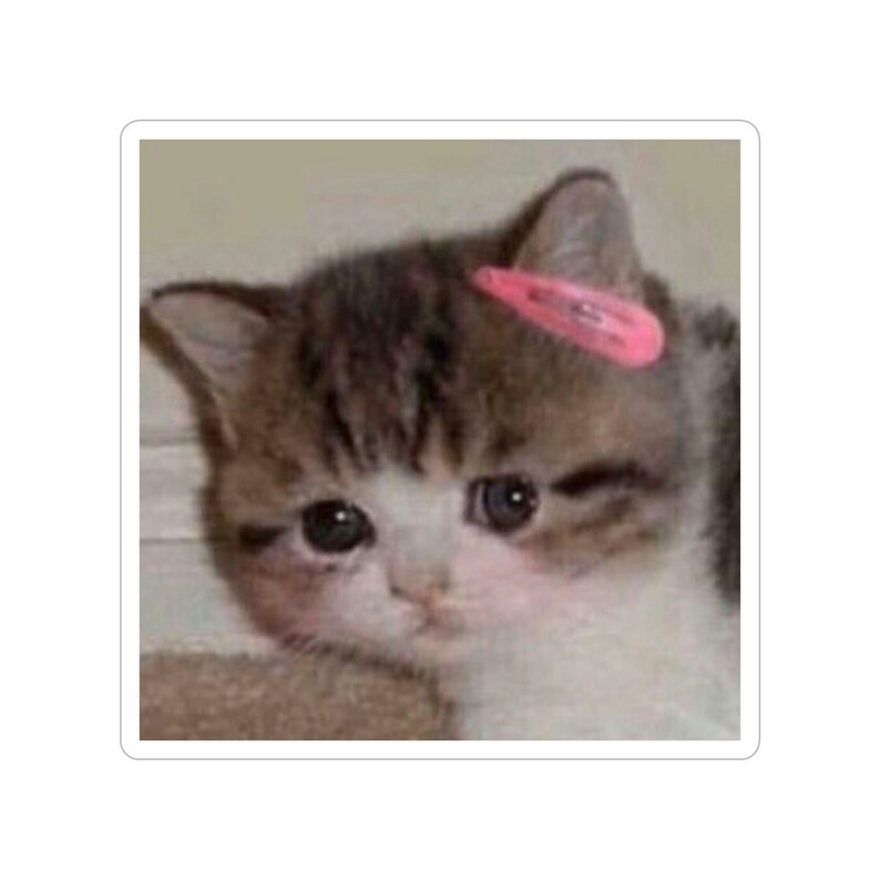 Y2K Cat Transparent Outdoor Stickers, Die-cut, 1pcs - Etsy