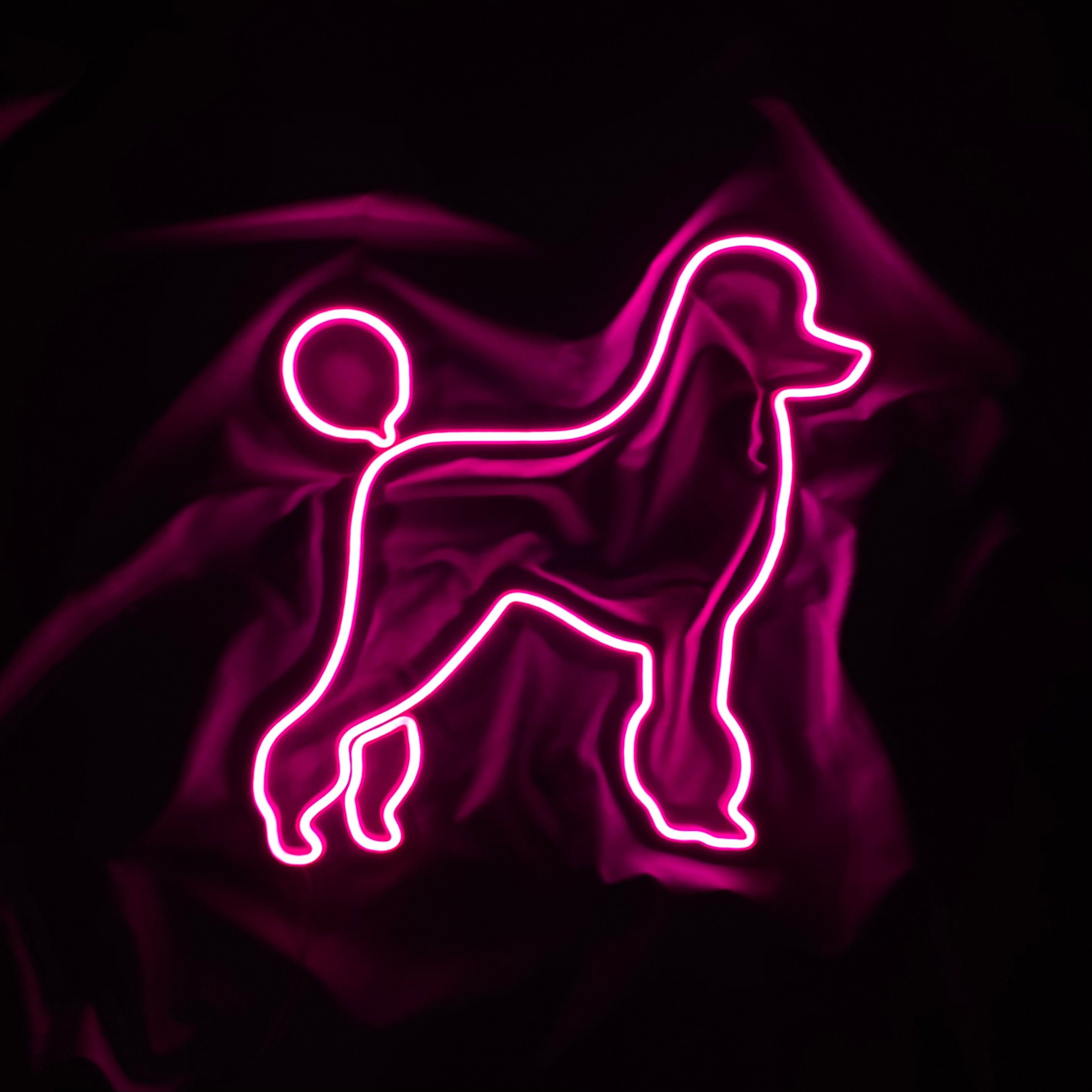 Poodle Neon Sign Pet Shop Sign Animal Neon Sign Neon Sign Dog Poodle ...