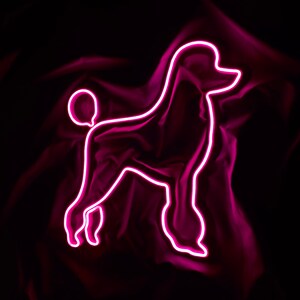 Poodle Neon Sign Pet Shop Sign Animal Neon Sign Neon - Etsy
