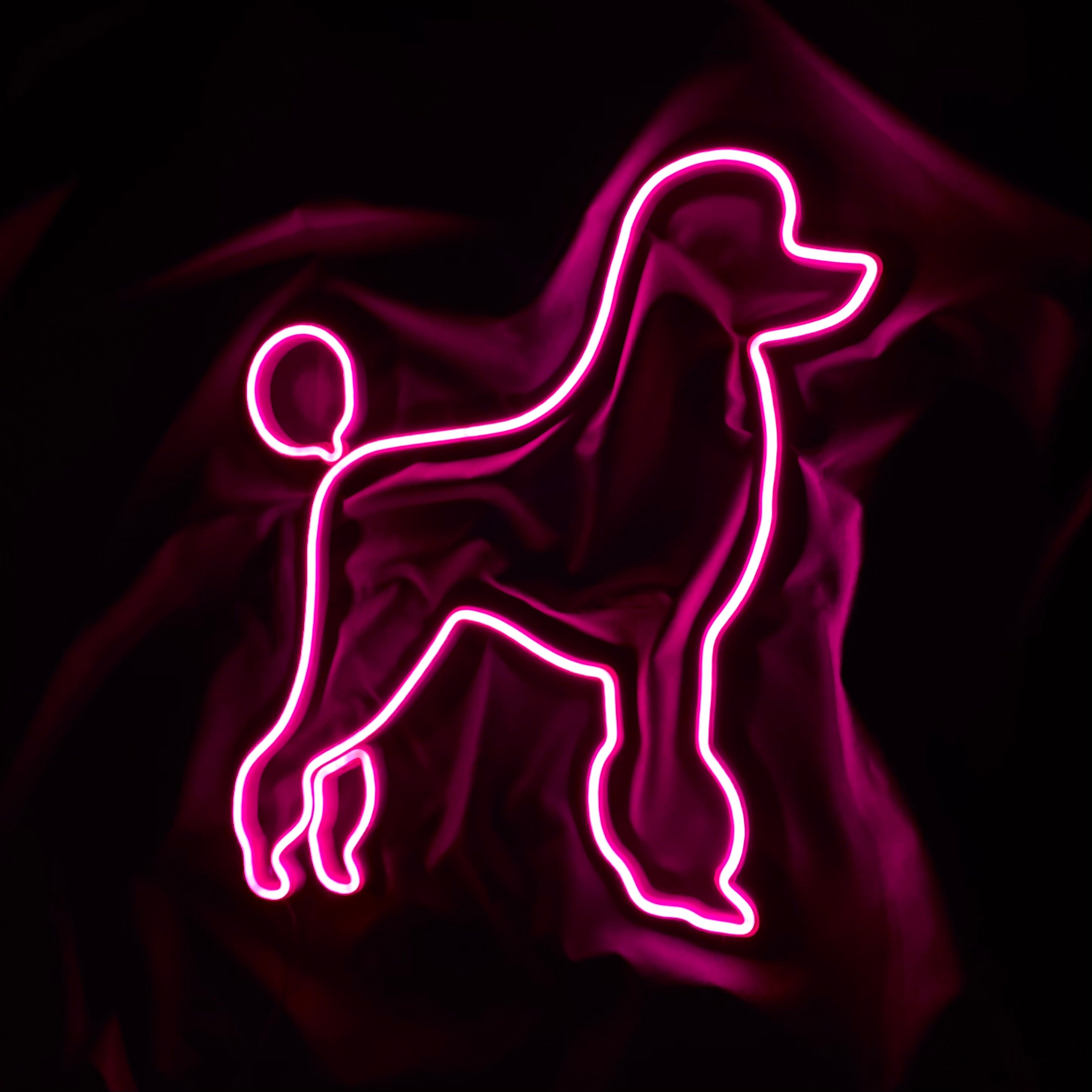 Poodle Neon Sign Pet Shop Sign Animal Neon Sign Neon Sign Dog Poodle ...