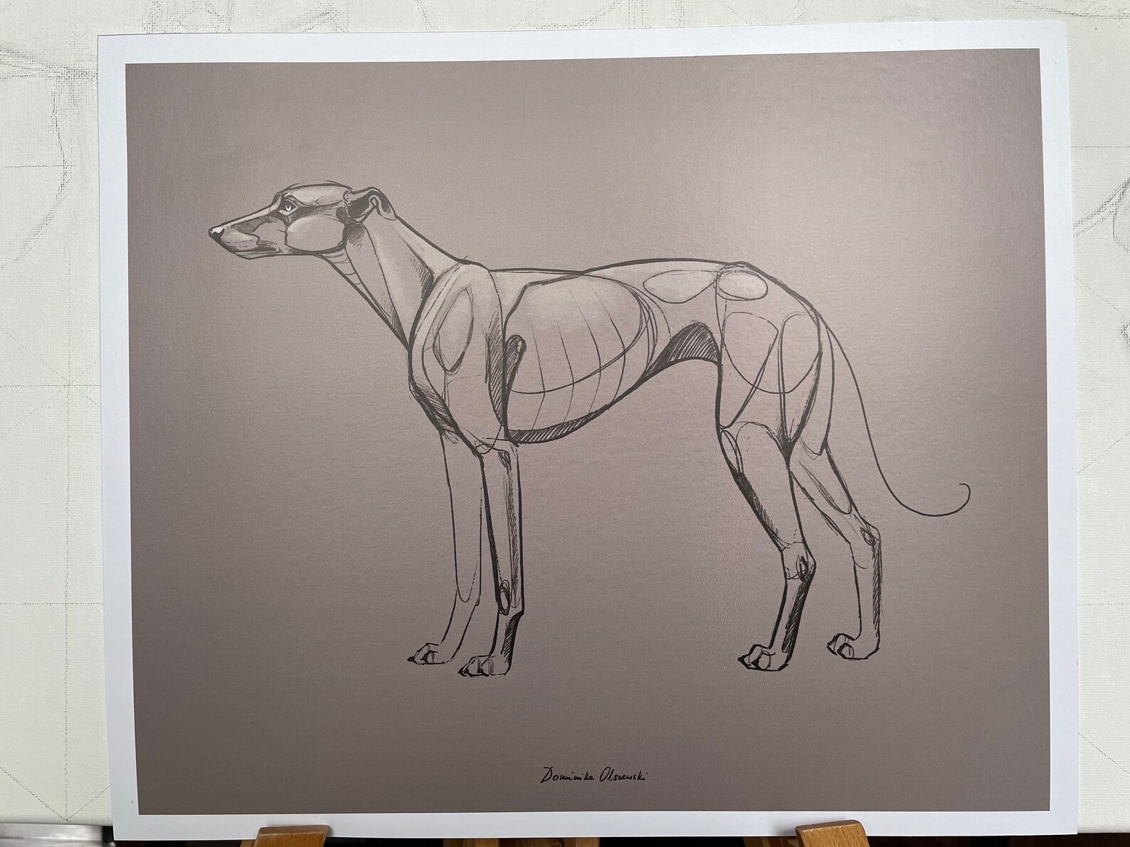 Greyhound Sketch Art Print - Etsy