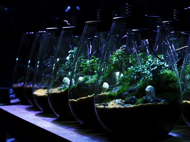 Bioloark Bio Bottle SD175 - Etsy