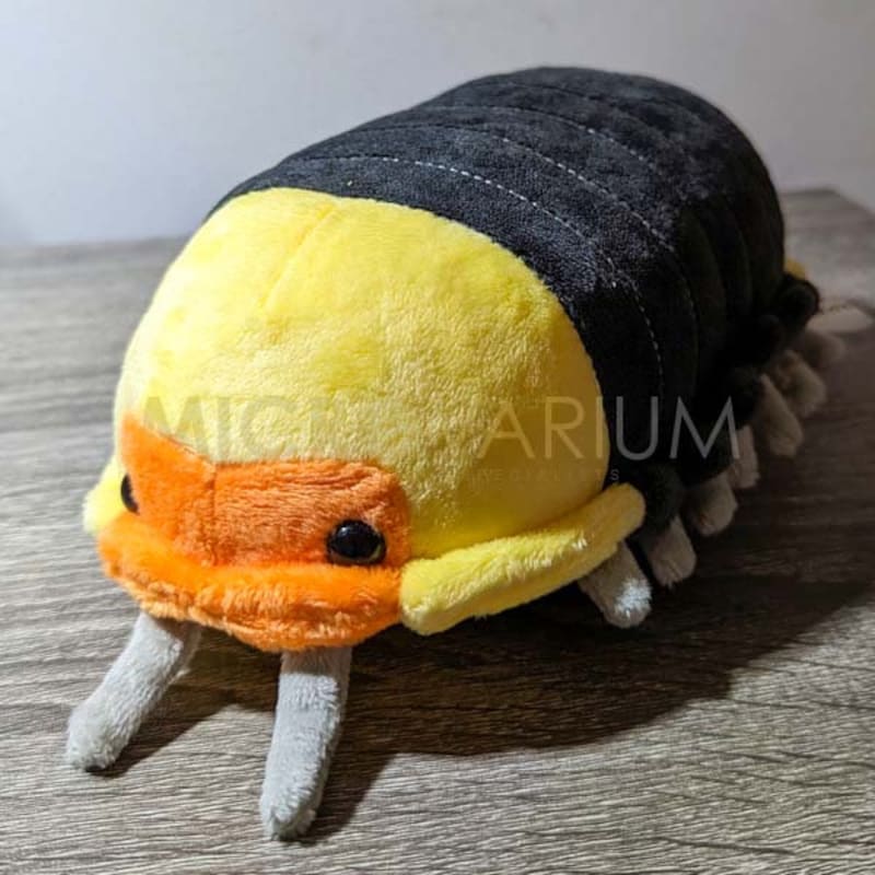 Cockroach Plush - Etsy