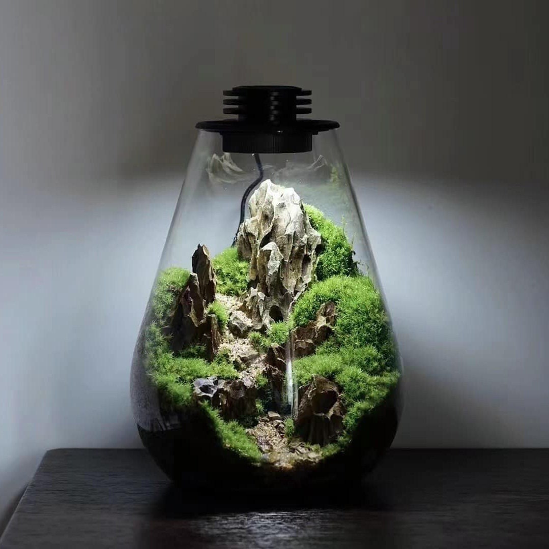 Bioloark Bio Bottle SD200 - Etsy